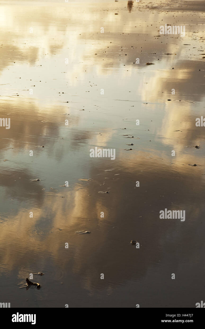 The North Sea, watt, evening light Stock Photo - Alamy