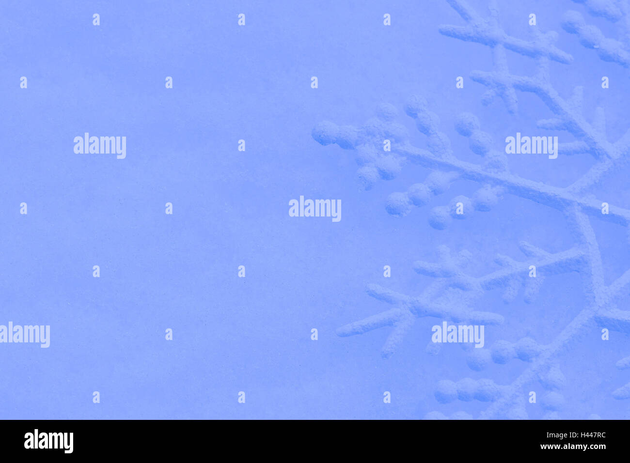 Snow crystal, close up, detail Stock Photo - Alamy