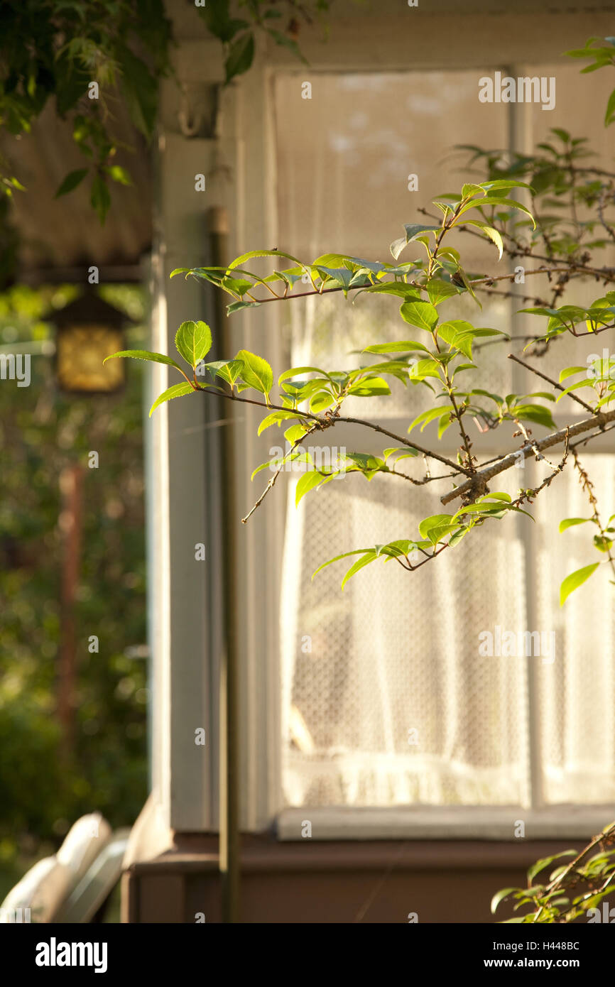 House, veranda, window, curtain Stock Photo - Alamy
