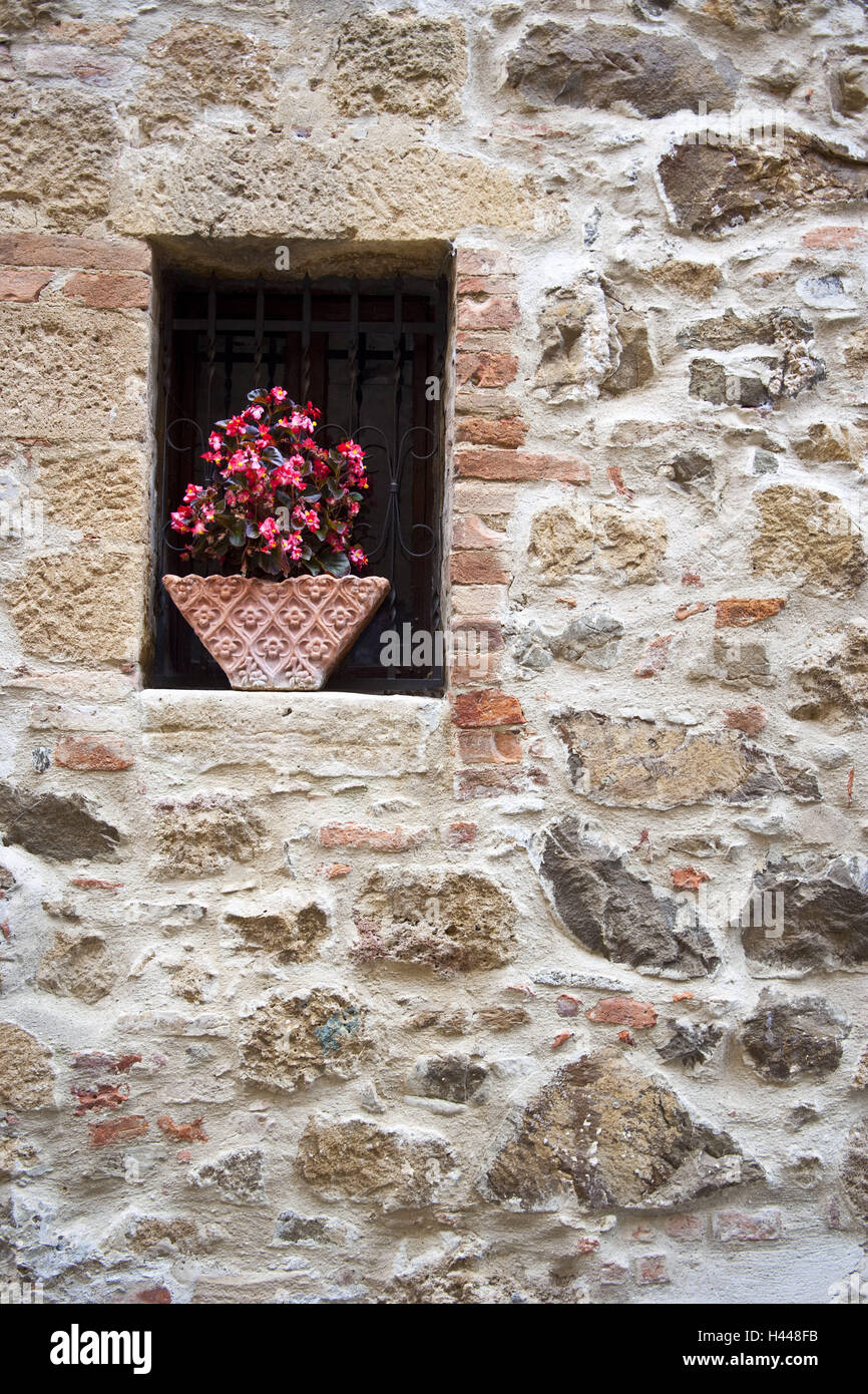 Stone house, window, flower, building, house, typically, stones ...