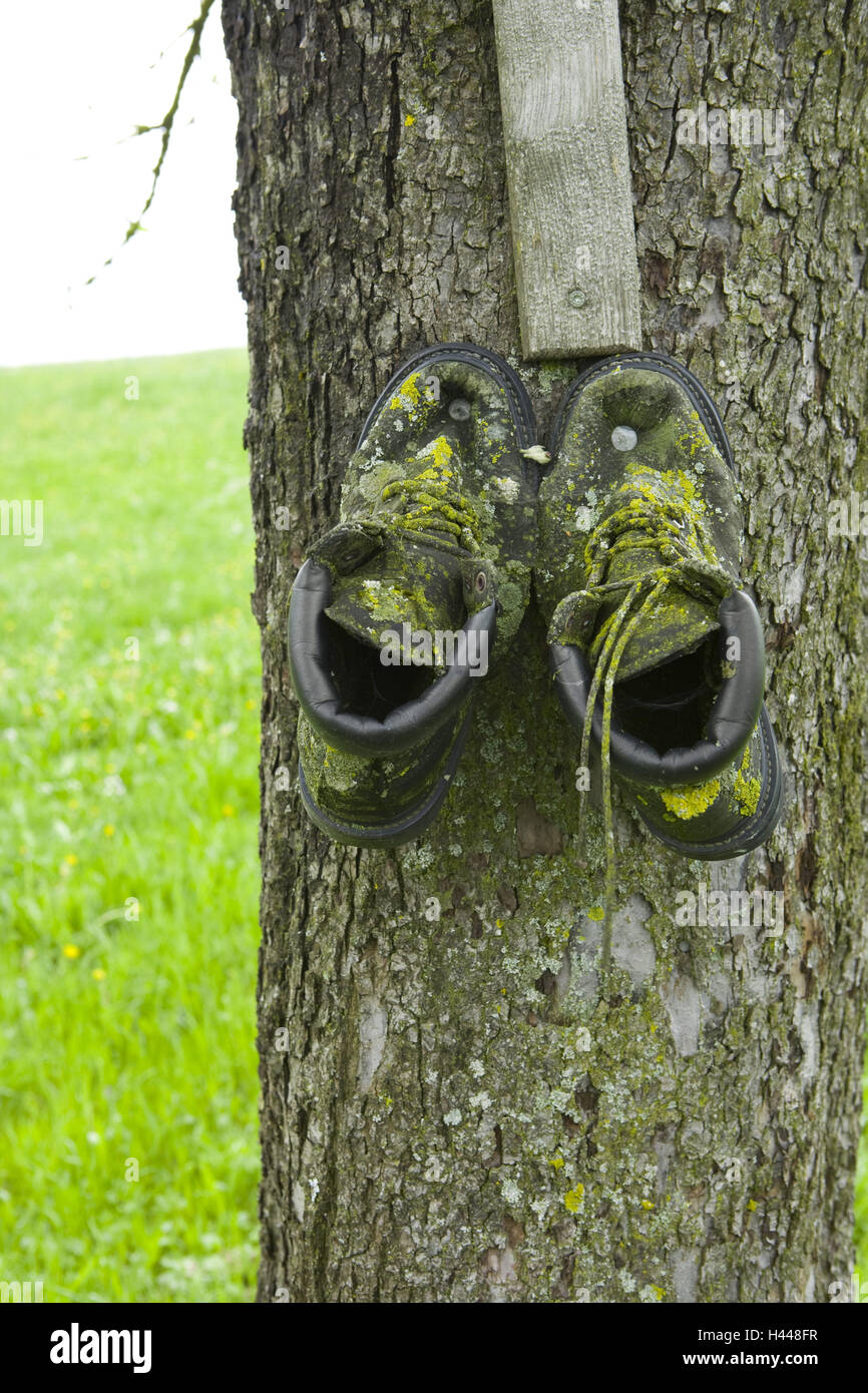Pilgrims way hi-res stock photography and images - Alamy