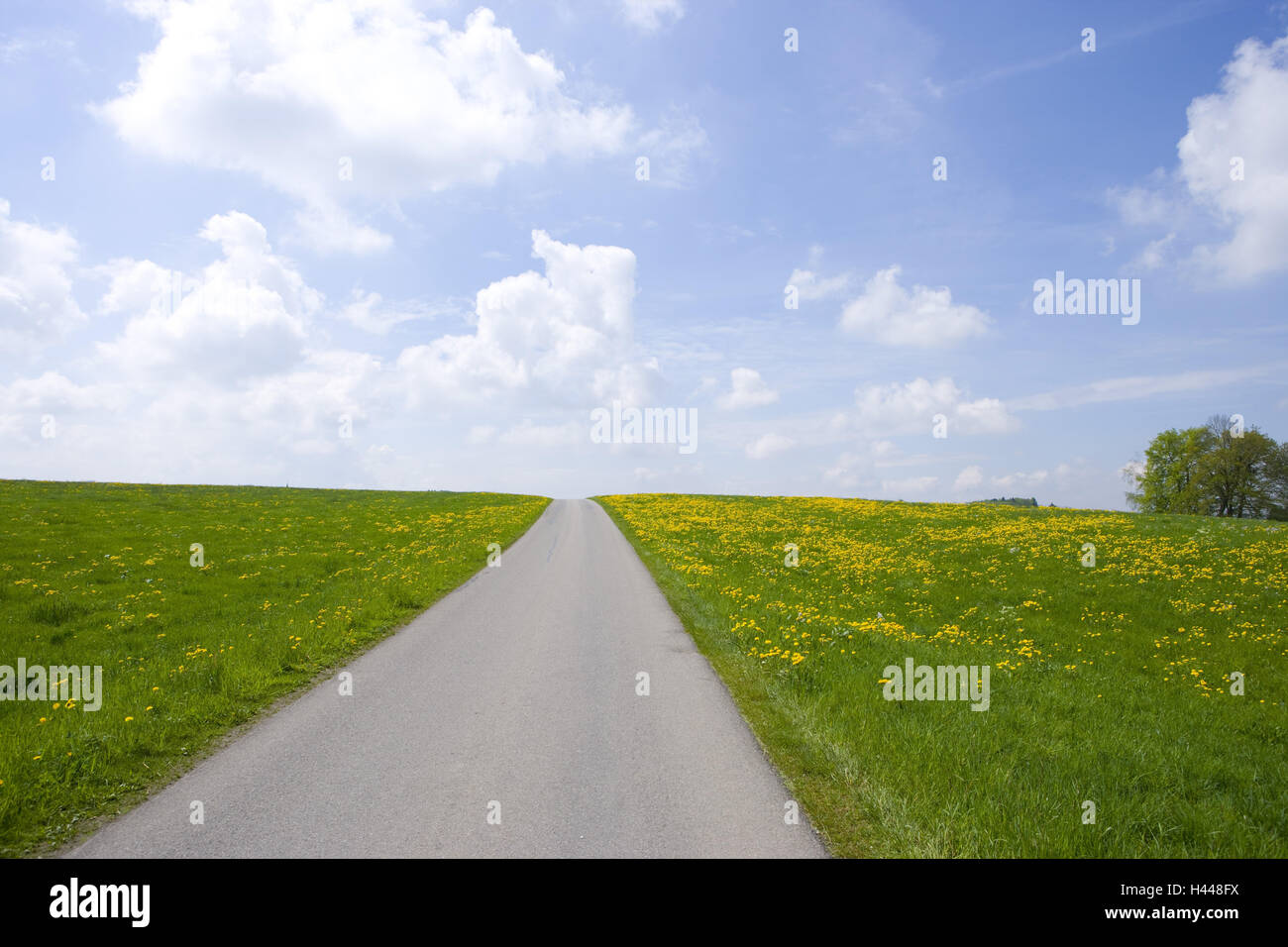 Road and horizon hi-res stock photography and images - Alamy