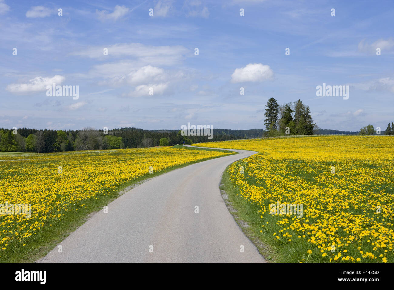 Baden württemberg road hi-res stock photography and images - Alamy