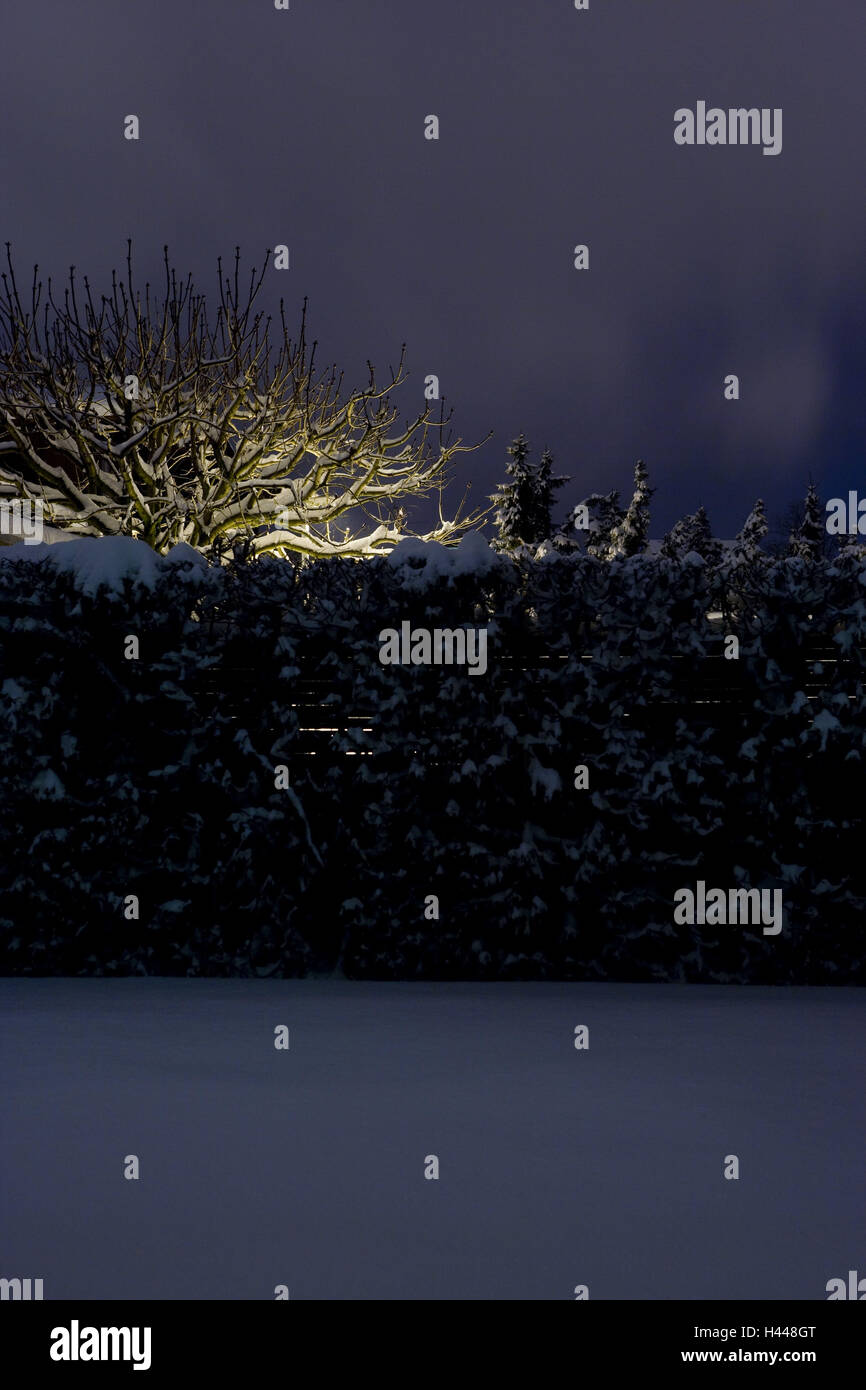 Tree at night photography hi-res stock photography and images - Alamy