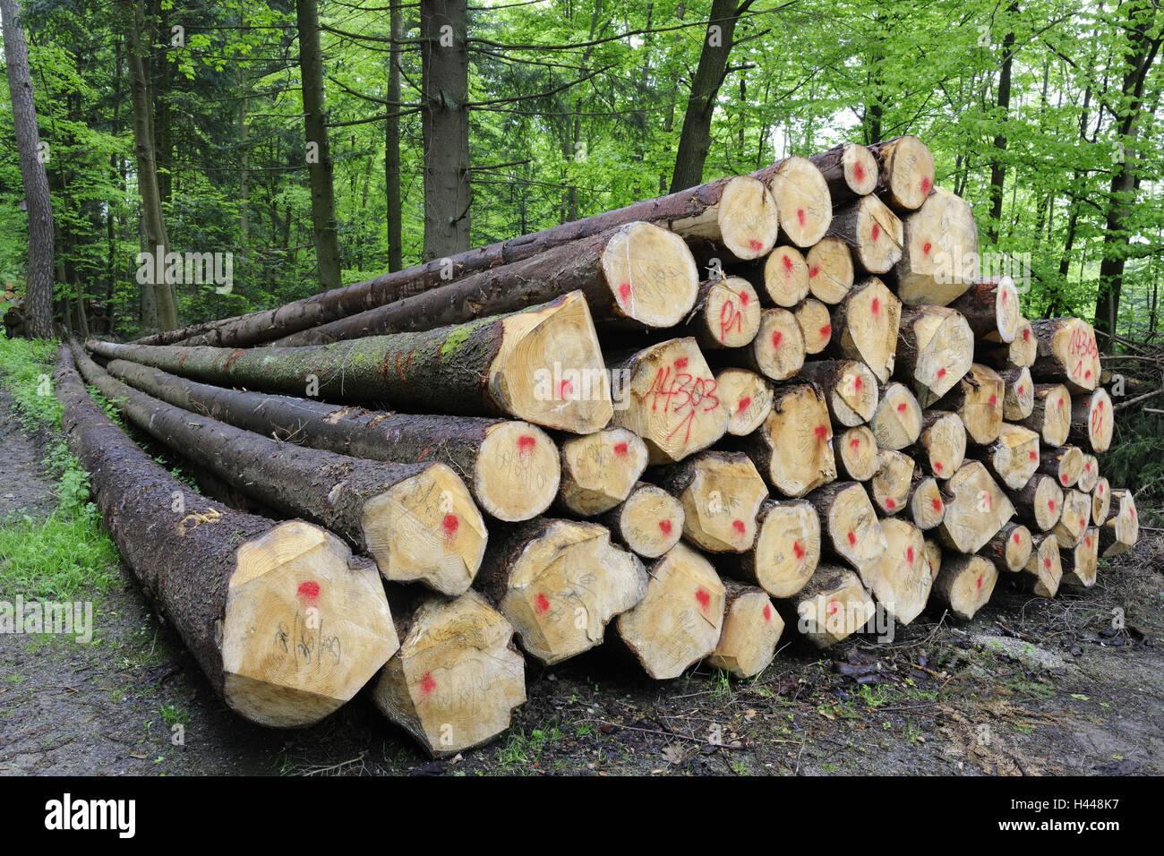 Wood, trunks, batches Stock Photo - Alamy