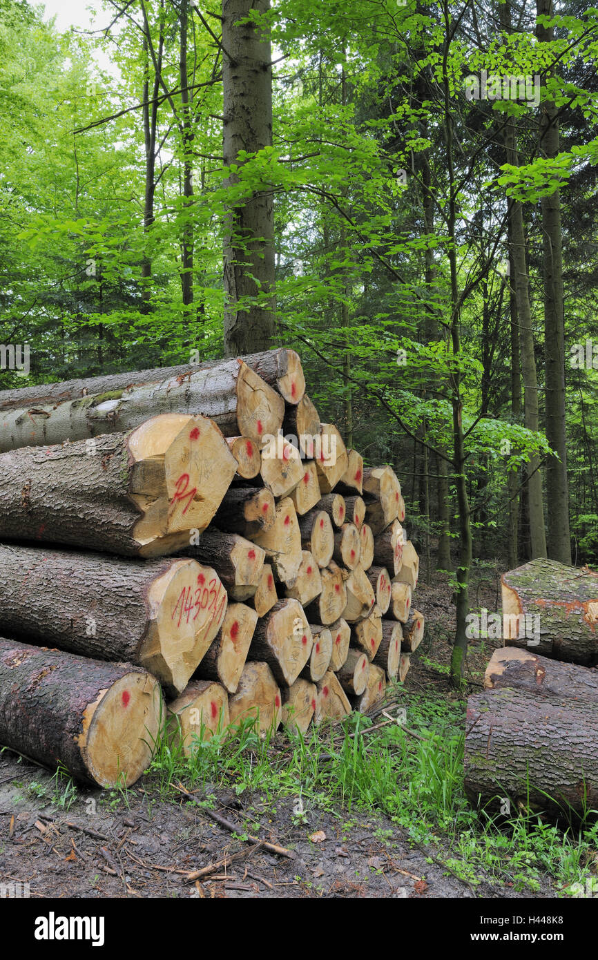 Wood, trunks, batches Stock Photo - Alamy