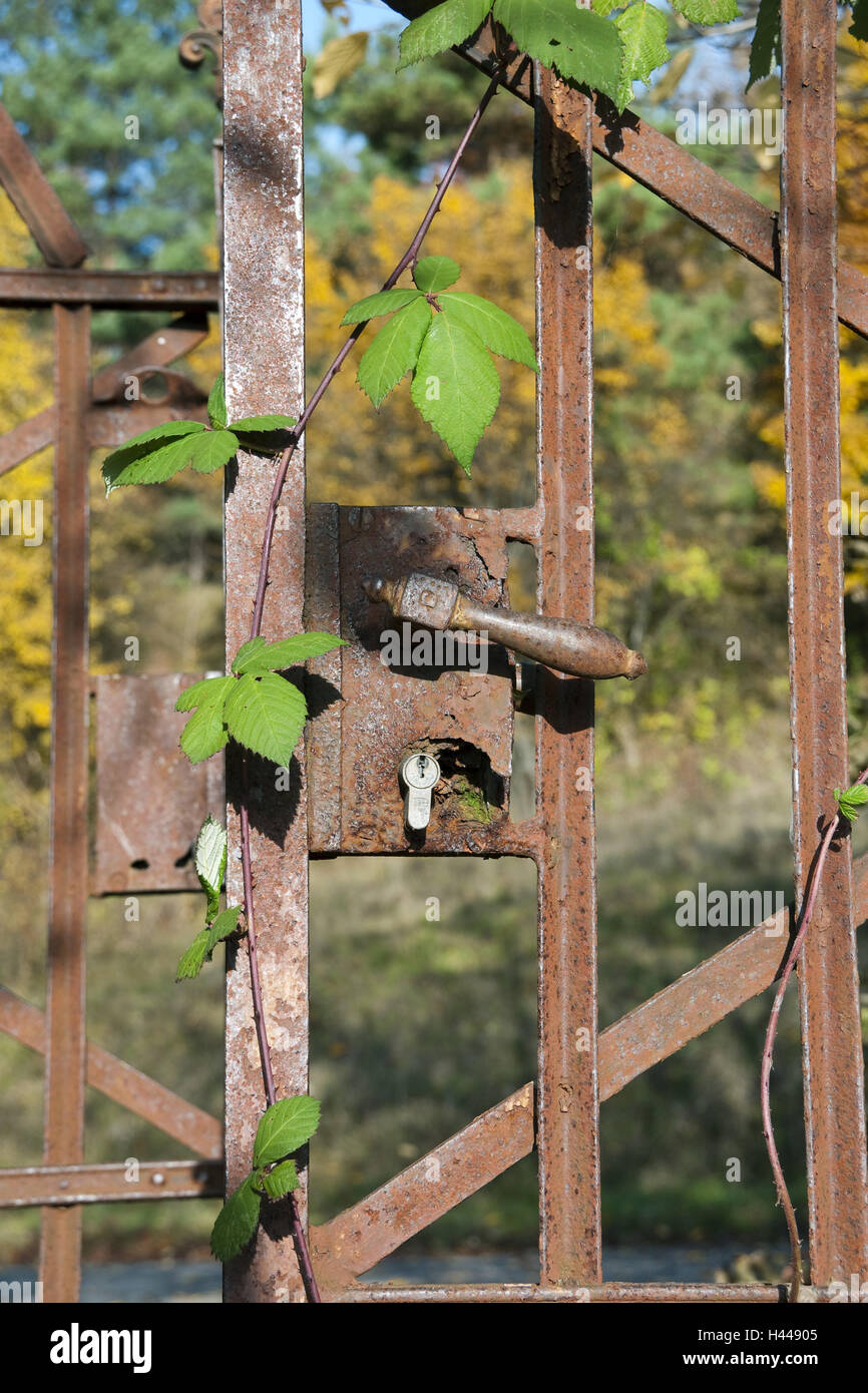 Garden goal, rusty, blackberry tendril, goal, iron goal, old, door lock ...