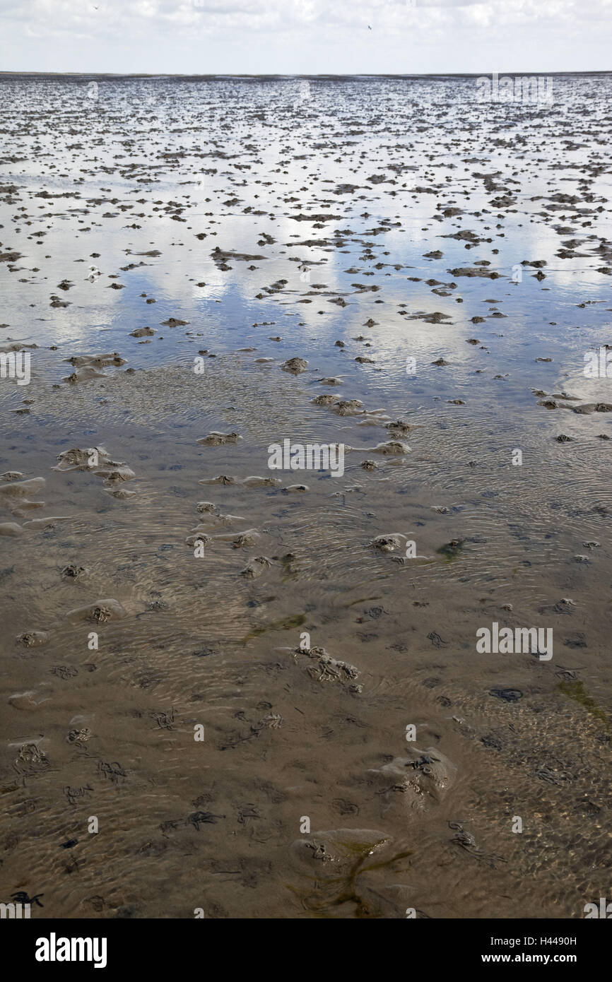 The North Sea, watt Stock Photo - Alamy