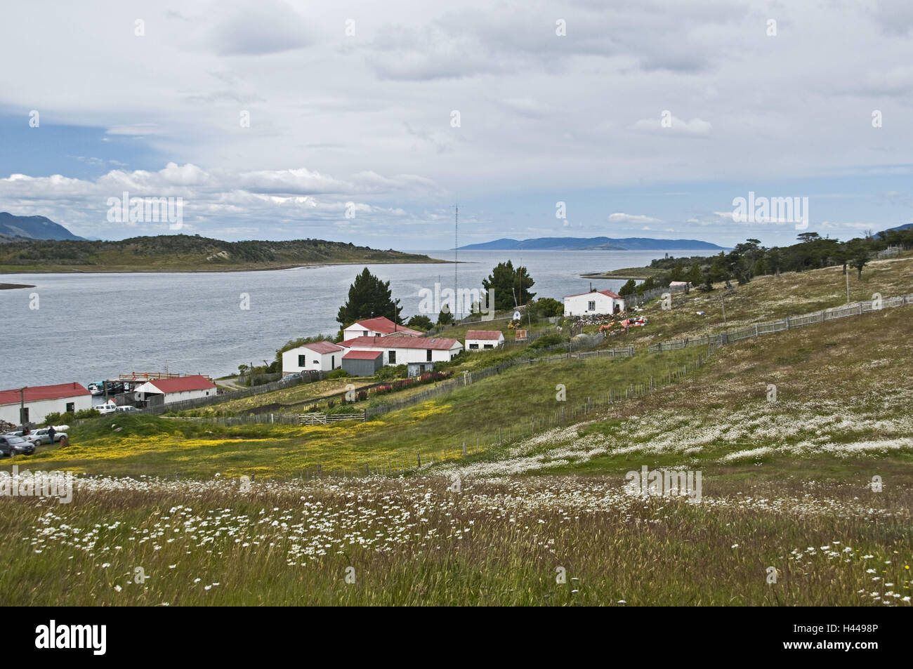 Beagle bay hi-res stock photography and images - Alamy