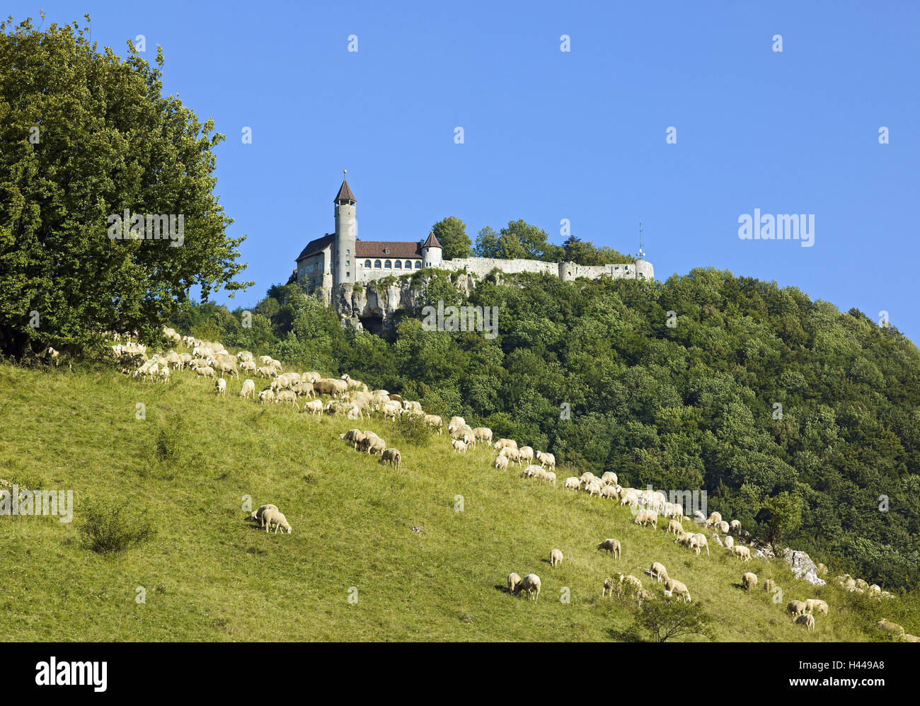 Germany, Baden-Wurttemberg, Owen, castle Teck, flock of sheep, heaven ...