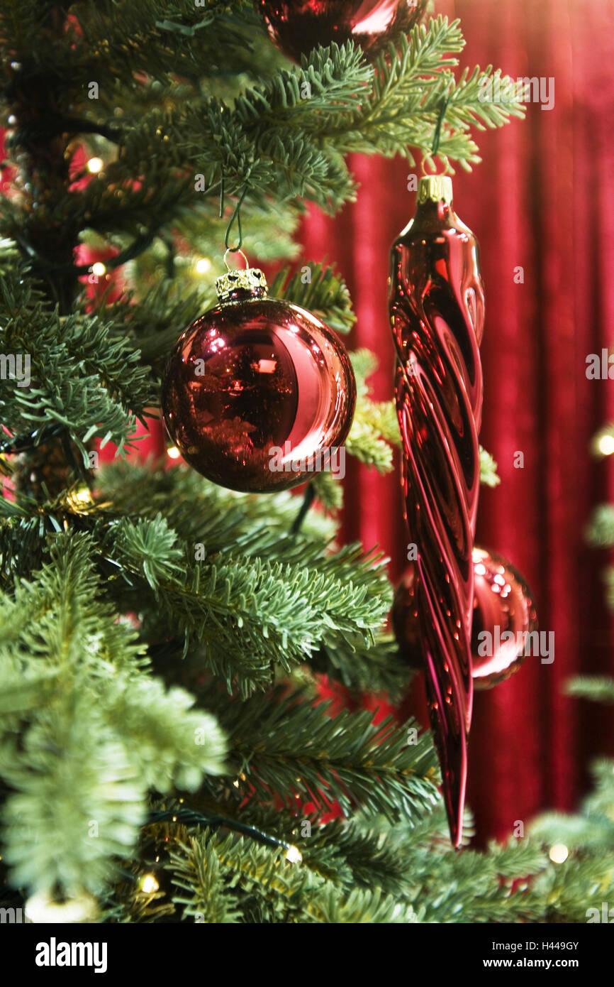 Tree plugs hi-res stock photography and images - Alamy