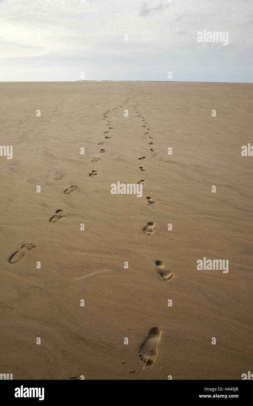 Tracks in Sand Stock Photo - Alamy