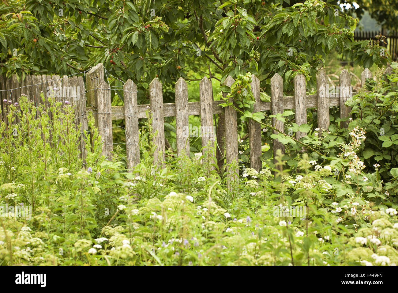 Fence, garden, ragged Stock Photo - Alamy