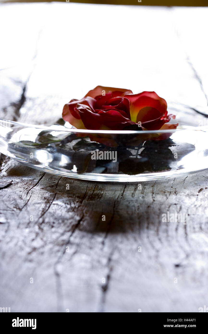 Table glass hi-res stock photography and images - Alamy