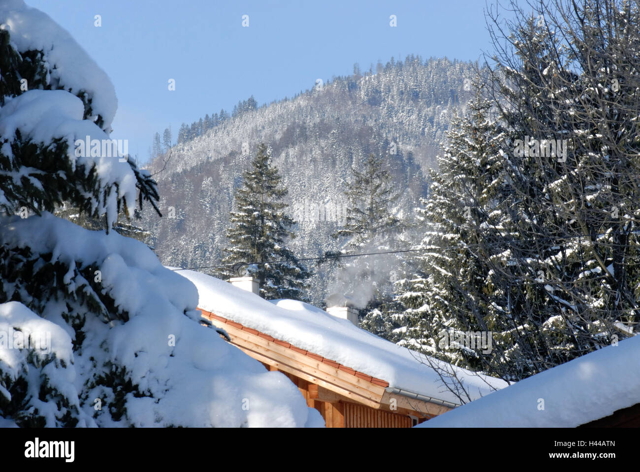 Germany, Bavaria, wooden house, detail, roof, wood, mountain ...