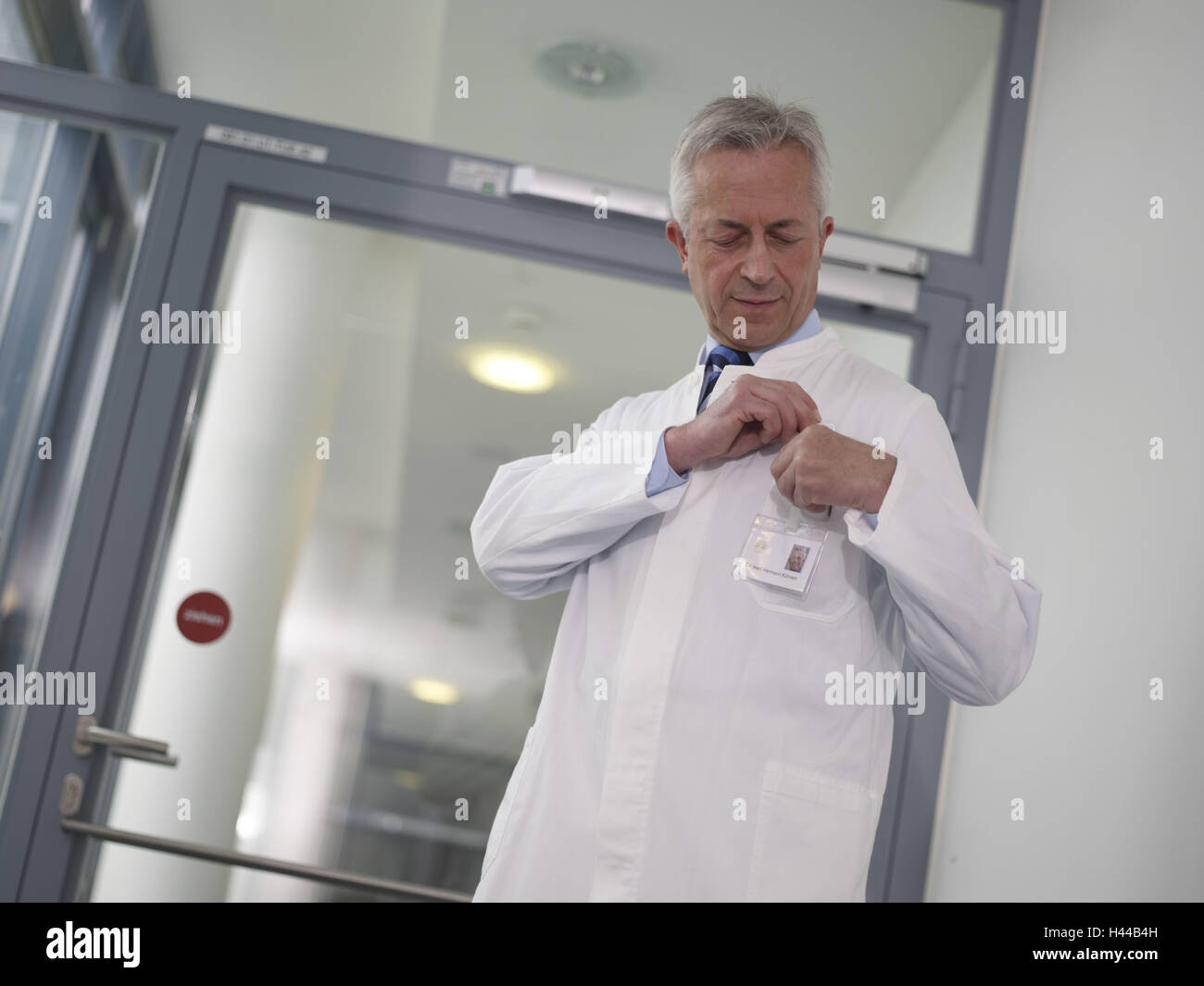 Doctor, ward physician, head of department, professor, clinic, hall ...