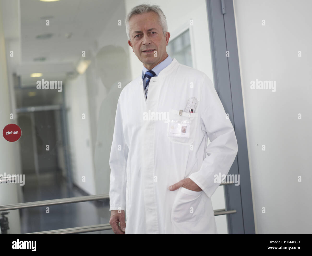 Doctor, ward doctor, head department, professor, clinic, hall Stock ...