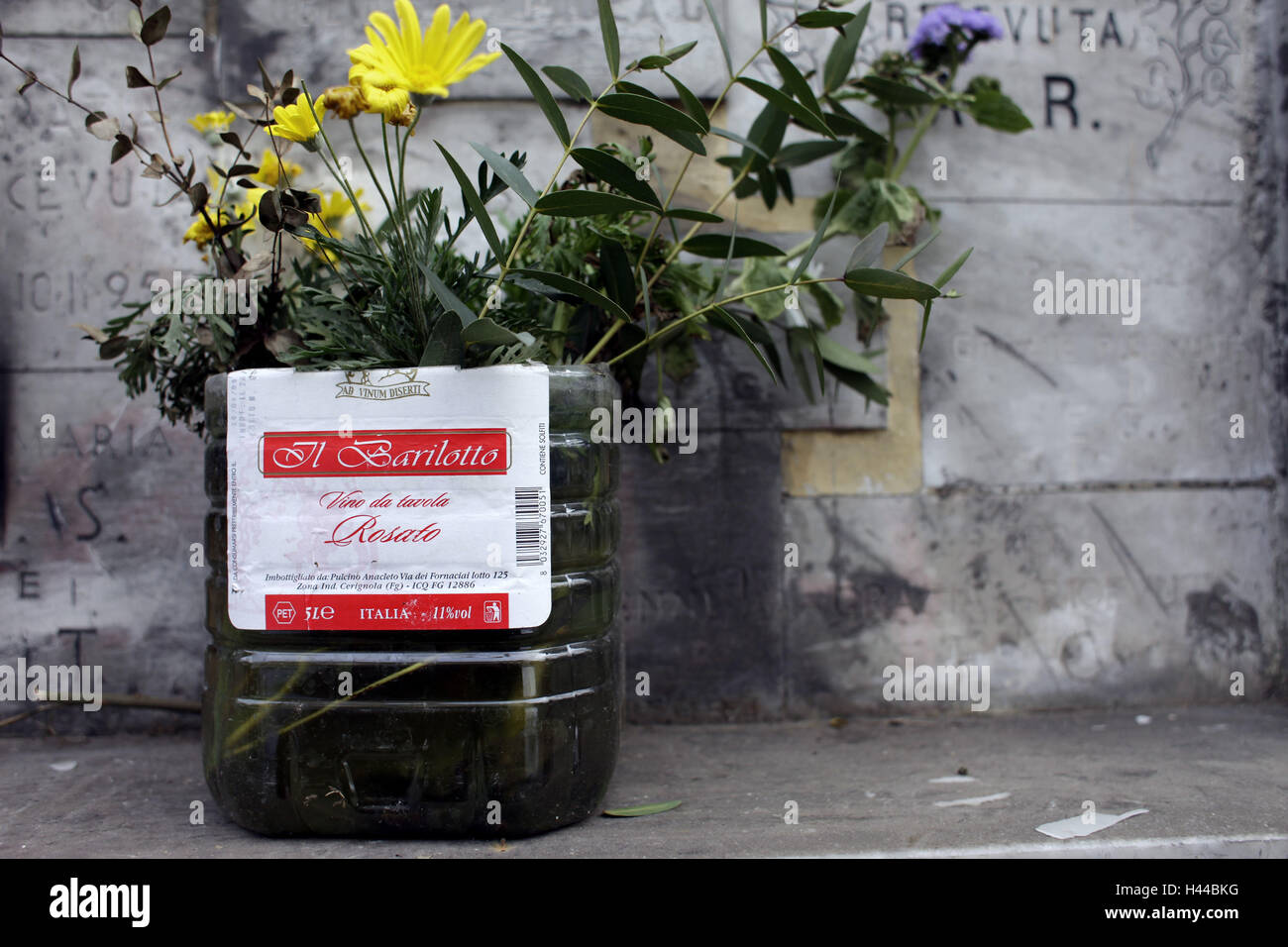 Plastic water bottle case hi-res stock photography and images - Alamy