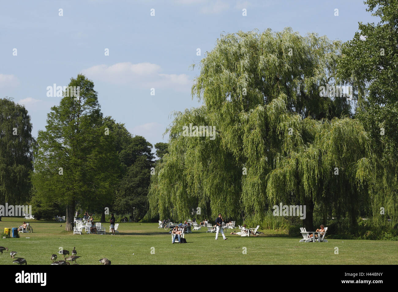 Germany, Hamburg, Alster park, person, summer Stock Photo - Alamy