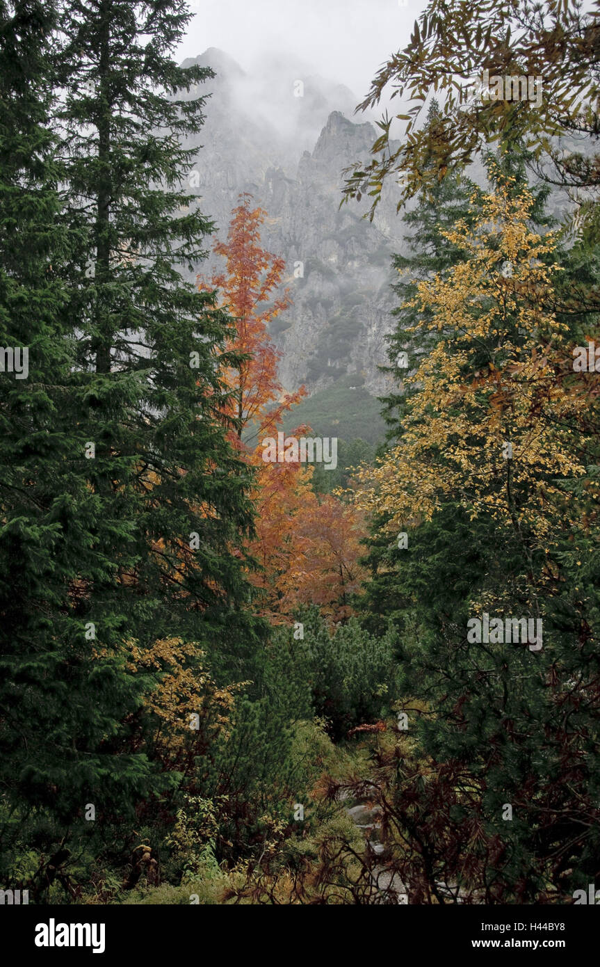Autumn mood, the high Tatra Mountains, national park the high Tatra ...