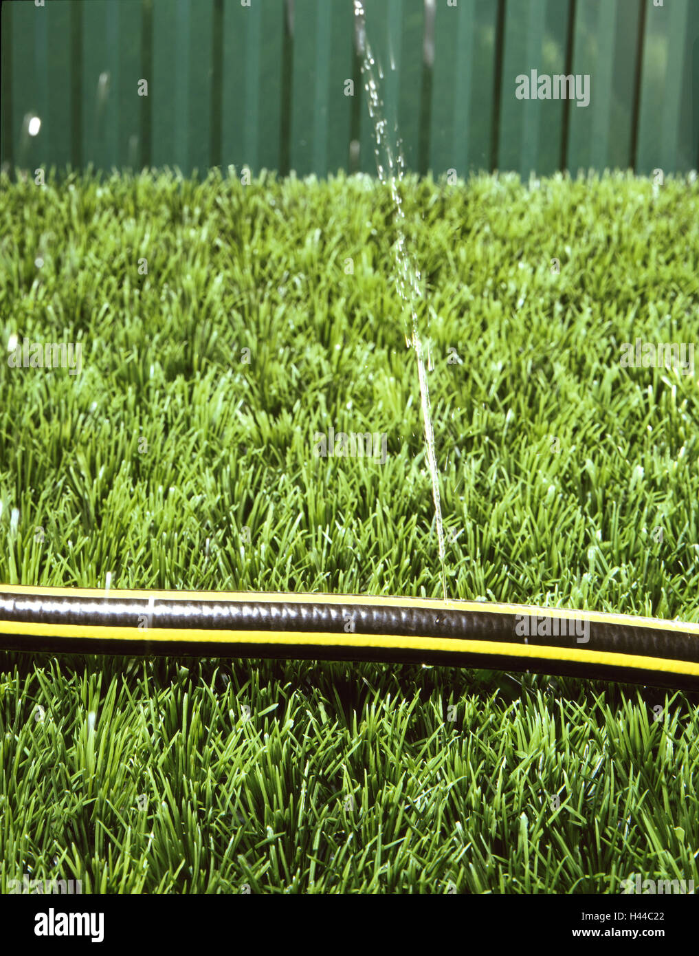 Meadow, garden hose, broken, water drop Stock Photo - Alamy