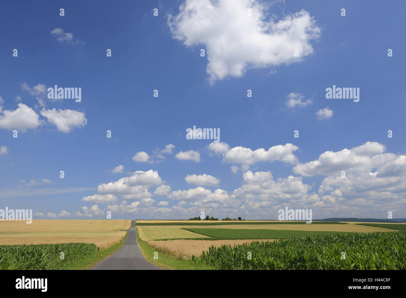 Country lane, grain-fields, summers, Germany, Bavaria, Spessart Stock ...