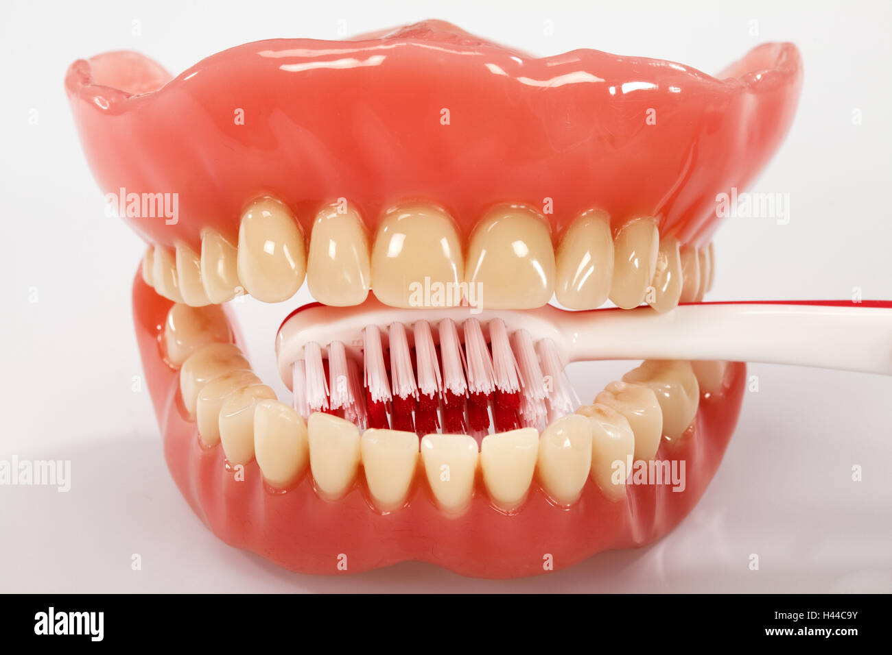Denture toothbrush hi-res stock photography and images - Alamy