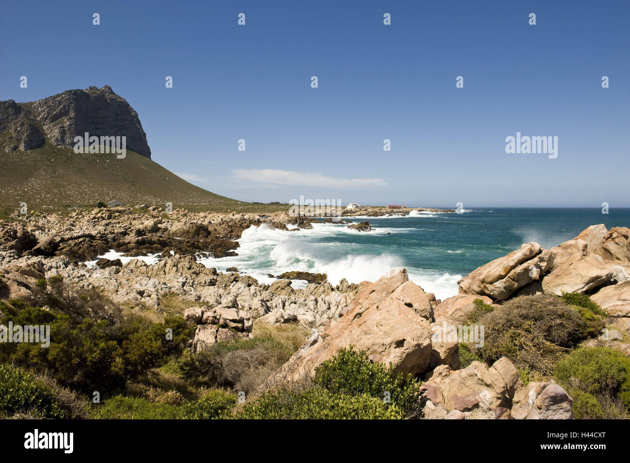 South, Africa, west cape, cape half island, Pringle Bay Stock Photo - Alamy