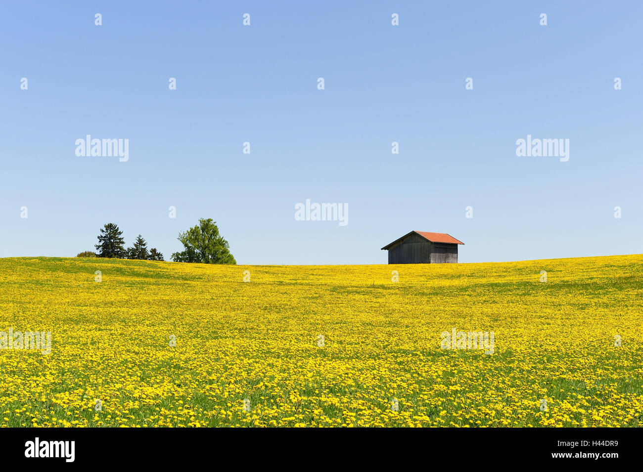 Spring barn hi-res stock photography and images - Alamy