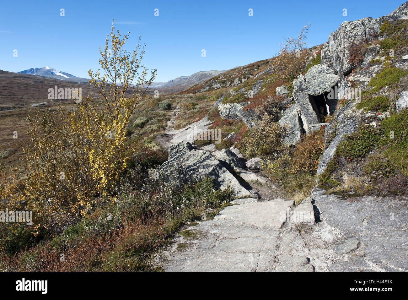 Snohetta hi-res stock photography and images - Alamy