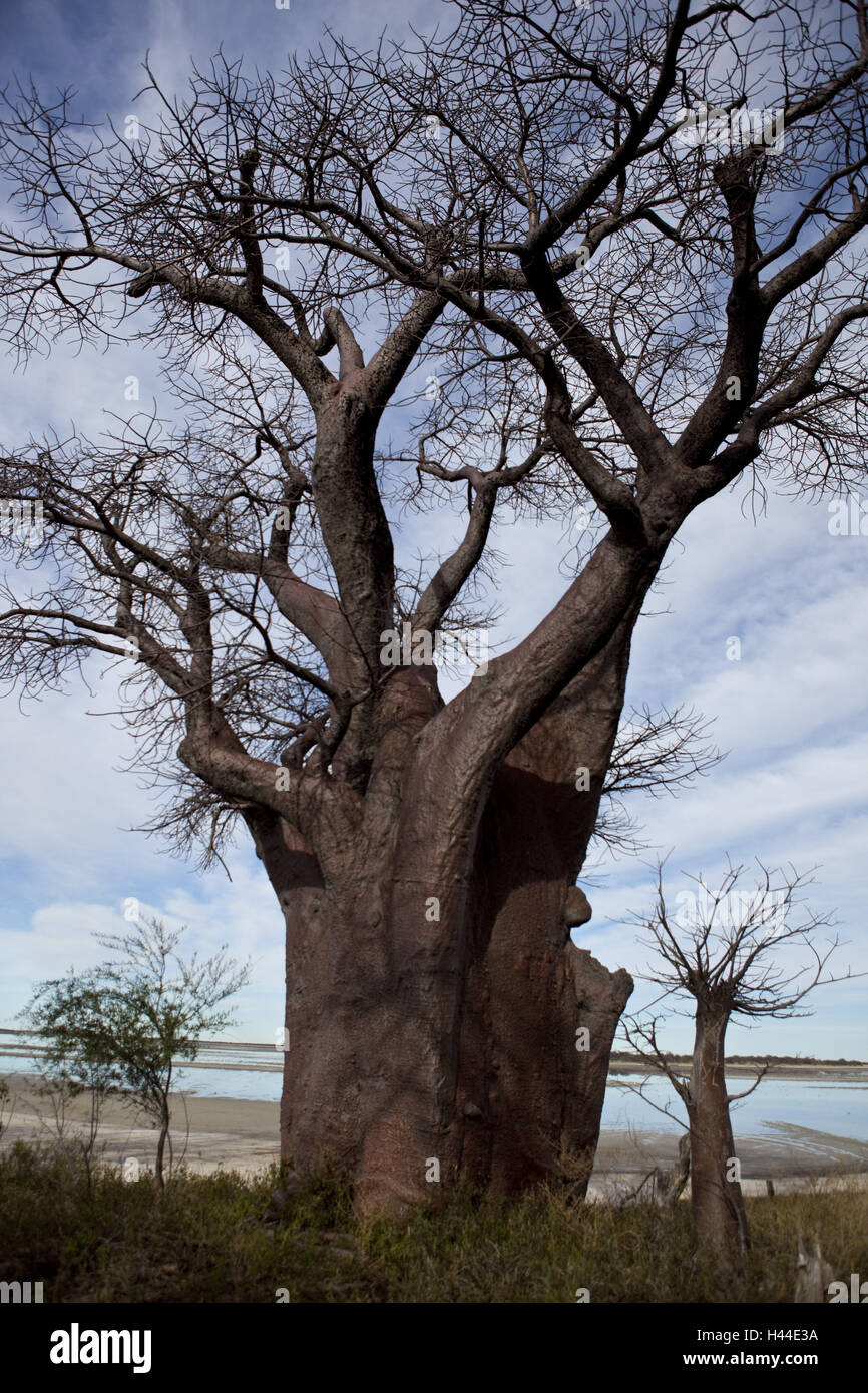 Nxai pan national park hi-res stock photography and images - Alamy