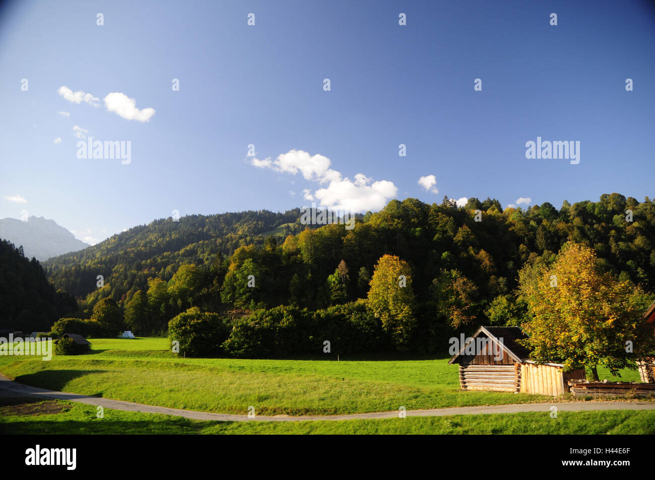 Germany, Upper Bavaria, mixed forest, pasture, hay barn Stock Photo - Alamy