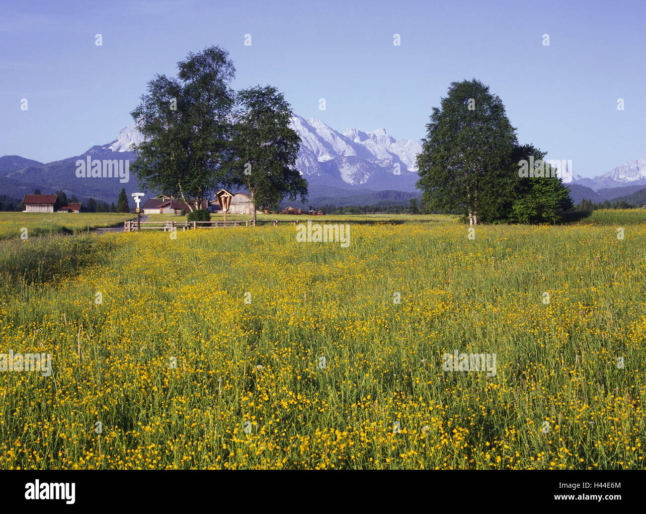 Germany, Bavaria, alp world Karwendel, scenery, hump meadows, Upper ...
