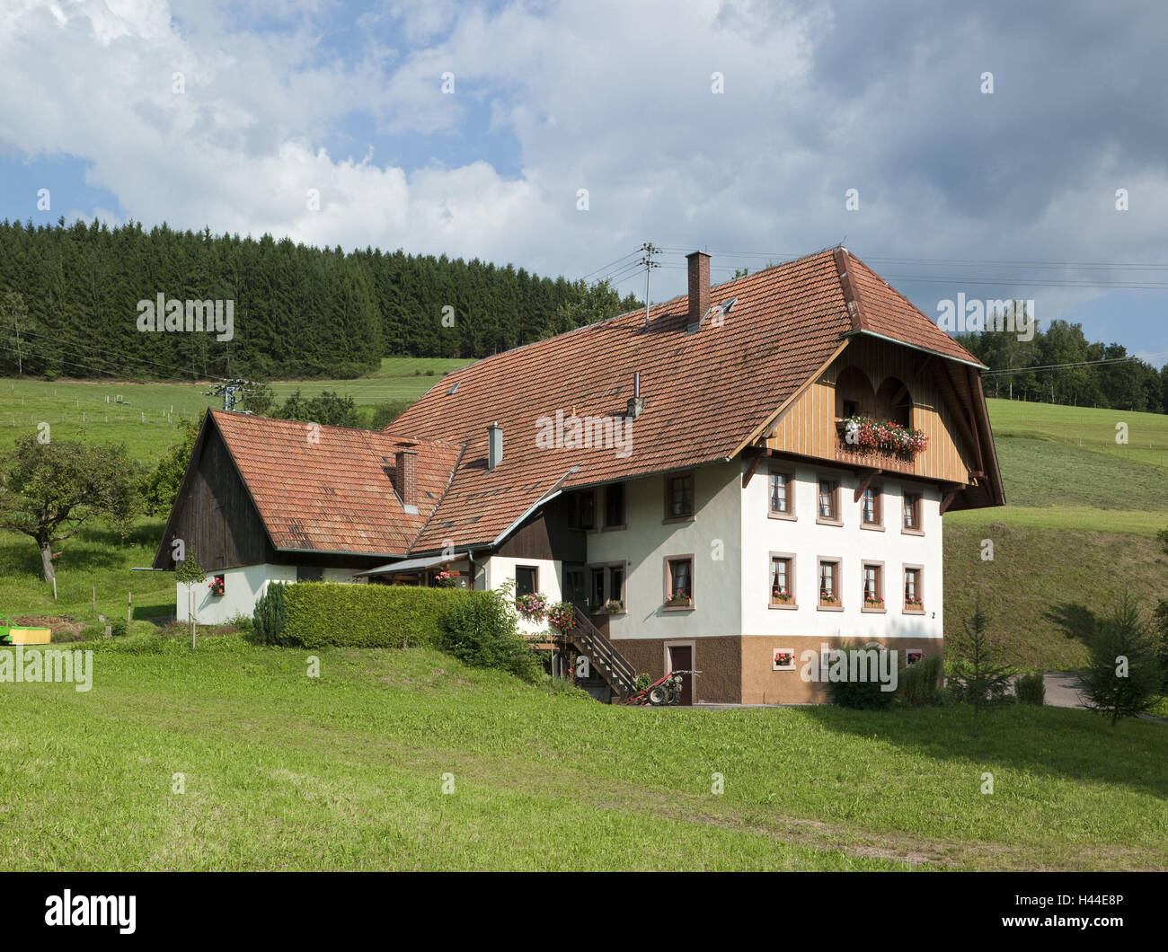 Black forest court hi-res stock photography and images - Alamy