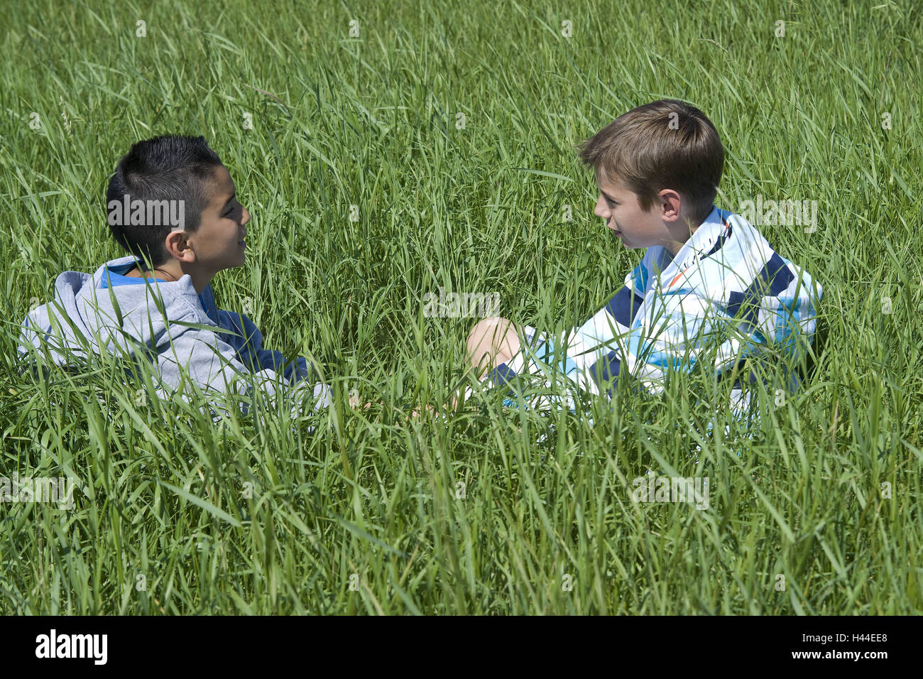 two boys, meadow, sit, maintain Stock Photo - Alamy