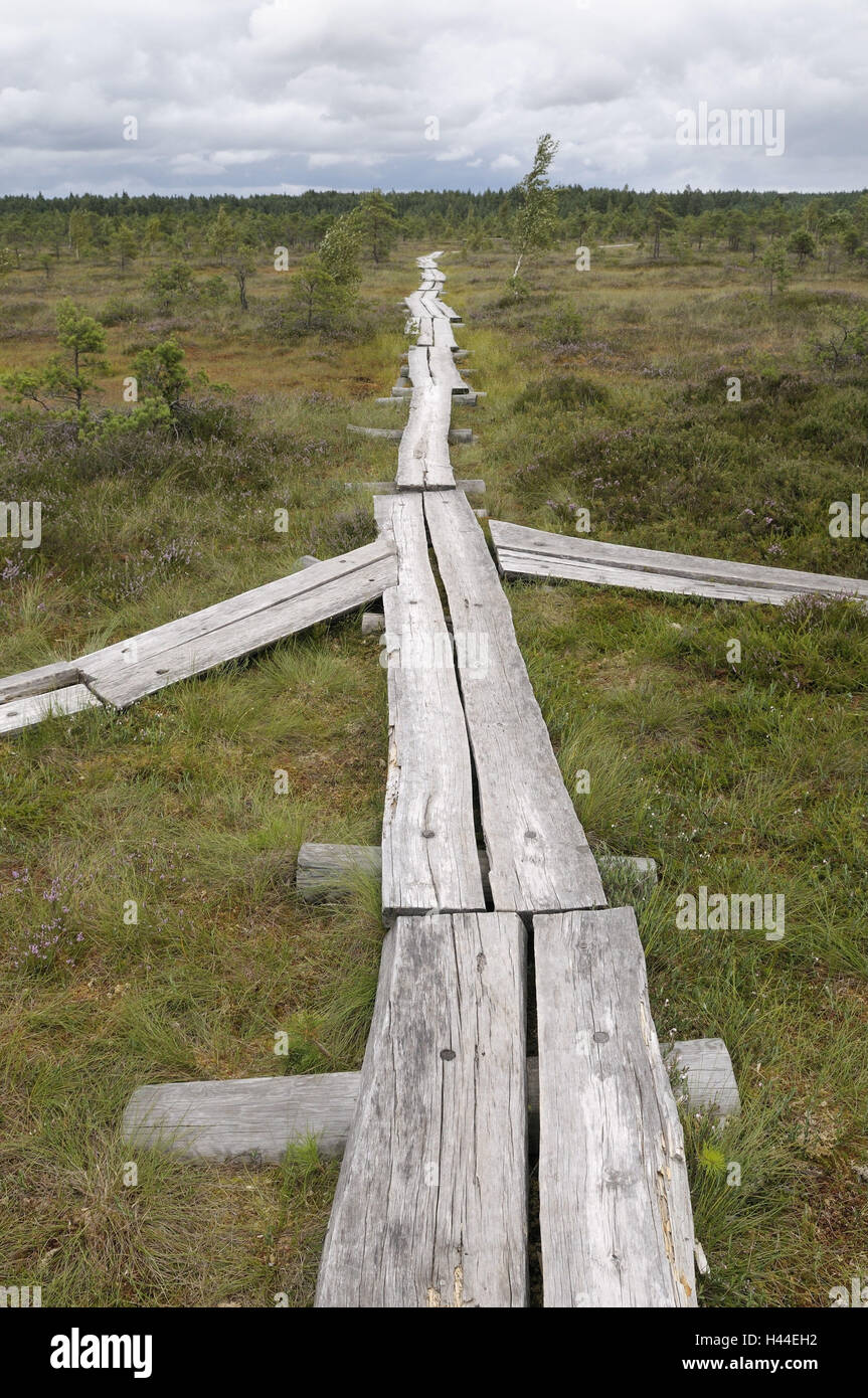 Marshy habitat hi-res stock photography and images - Alamy