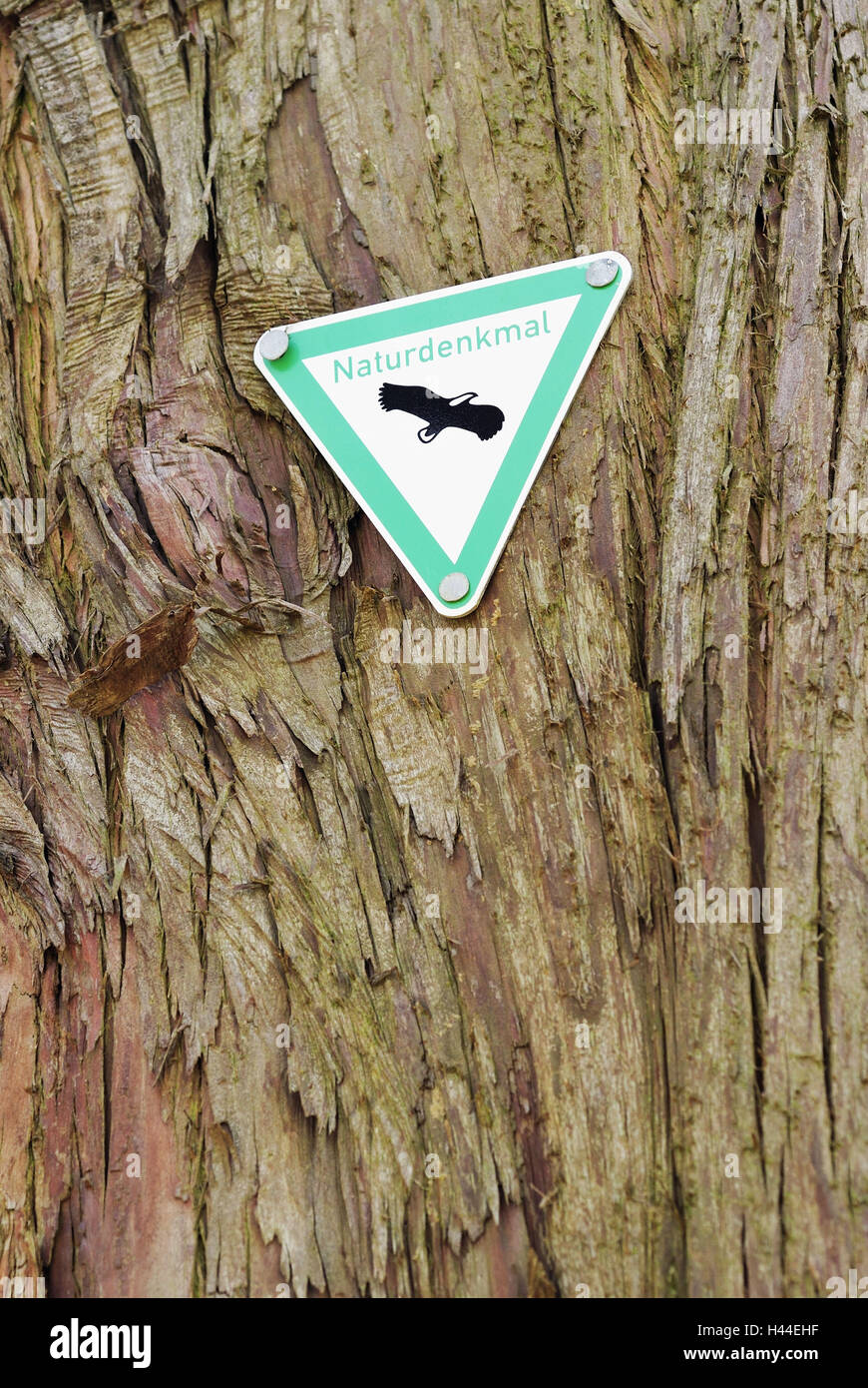 Natural monument, conservation monuments and historic buildings, sign ...