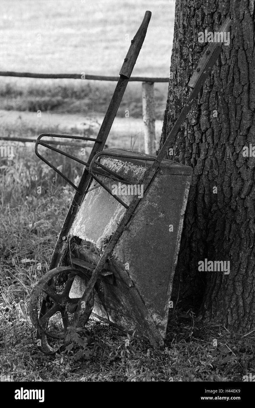 Leant in trunk hi-res stock photography and images - Alamy