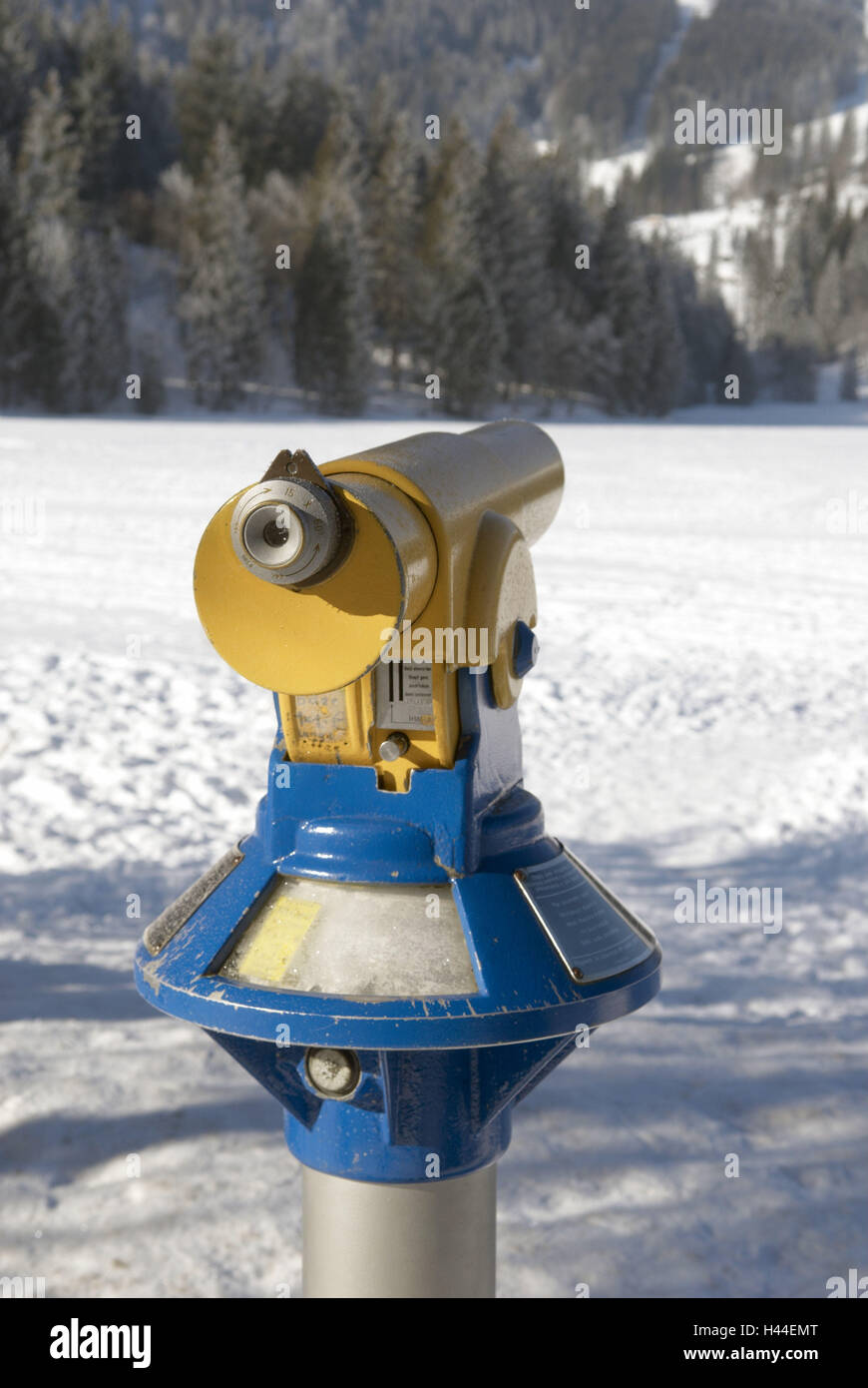 Telescope, firs, snow surface, wood Stock Photo - Alamy