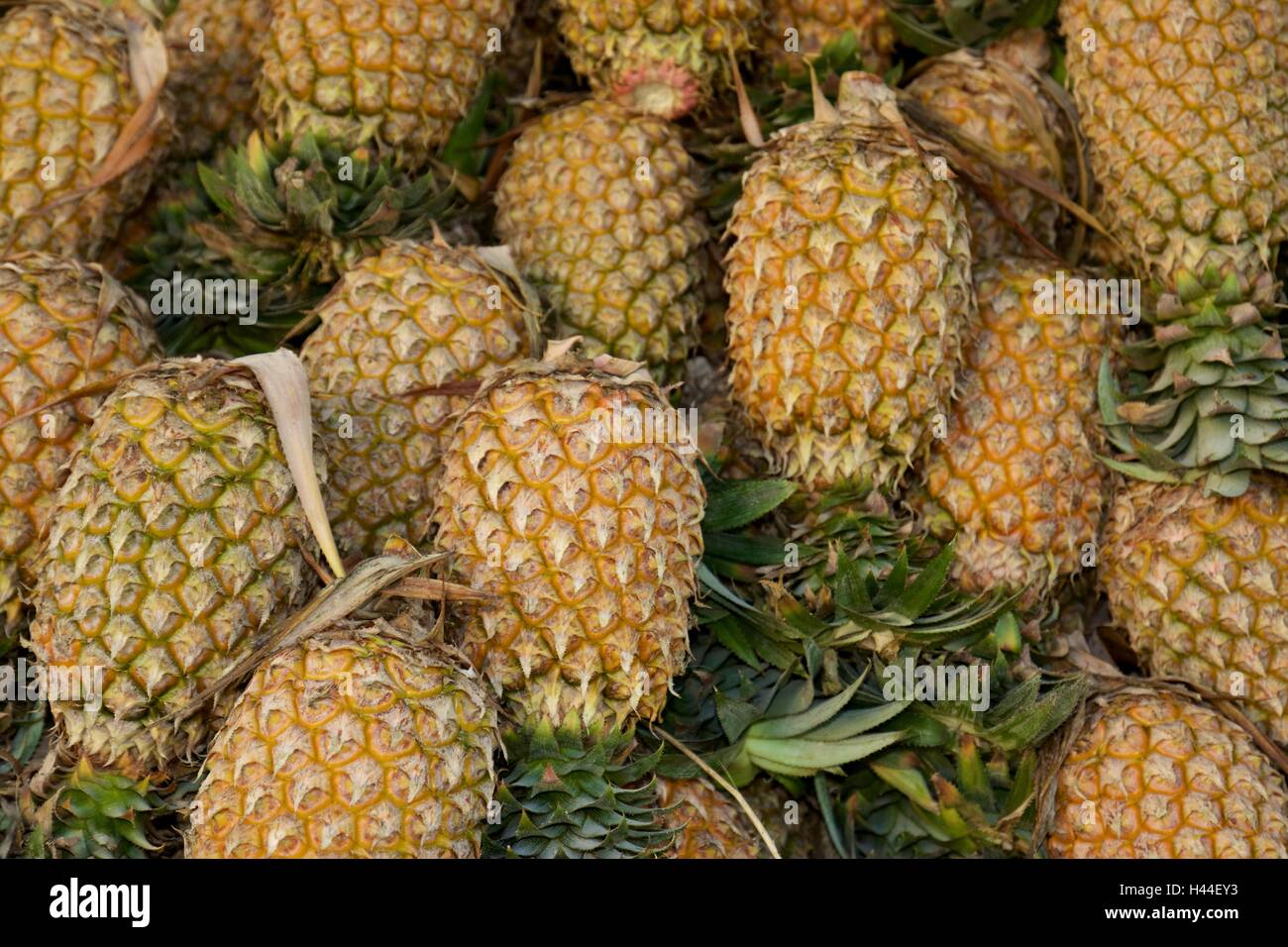 Set of many pineapples Stock Photo - Alamy