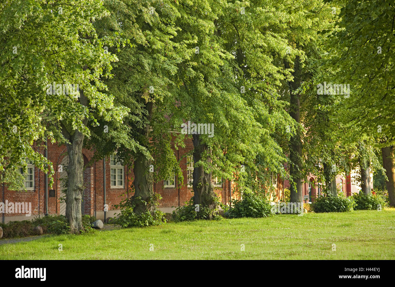 Brick building, trees Stock Photo - Alamy