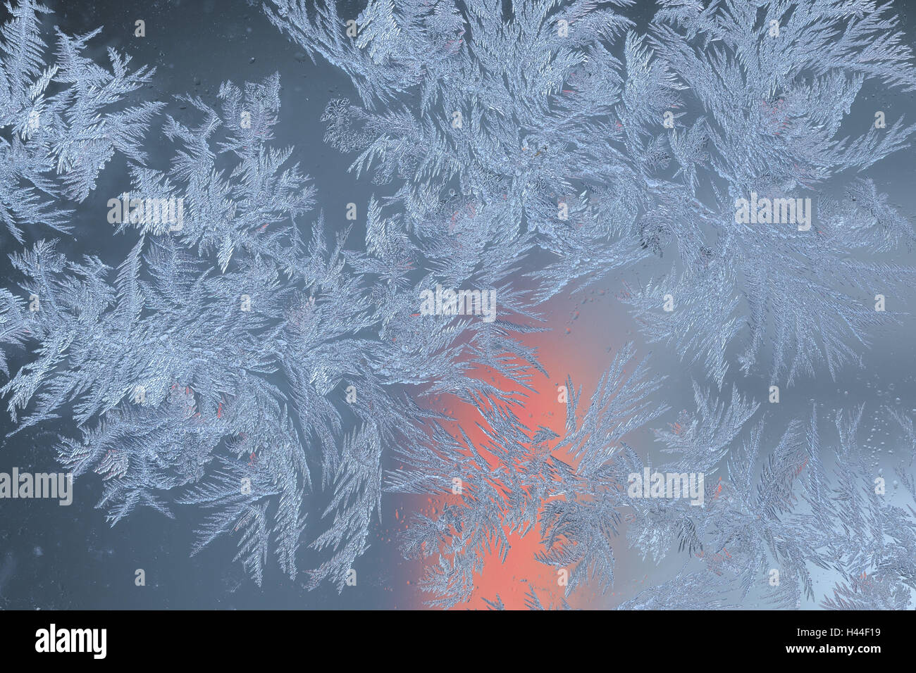 Window, frost flowers Stock Photo - Alamy