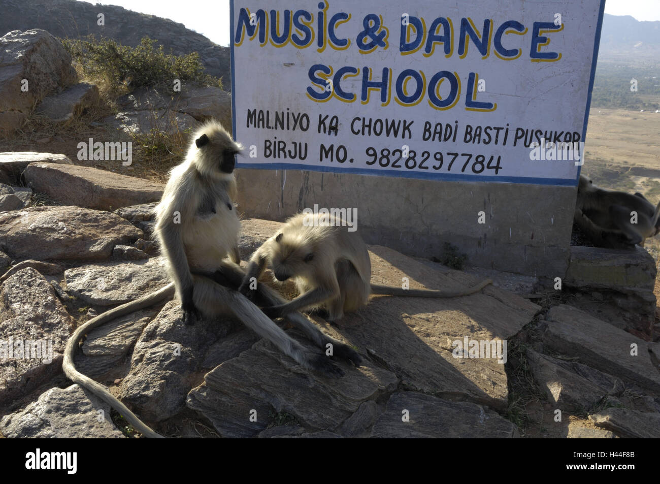 Dance school sign hi-res stock photography and images - Alamy