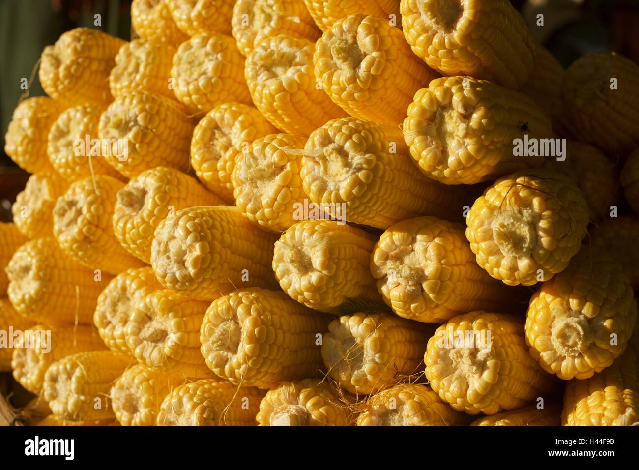 Maize maize meal hi-res stock photography and images - Alamy