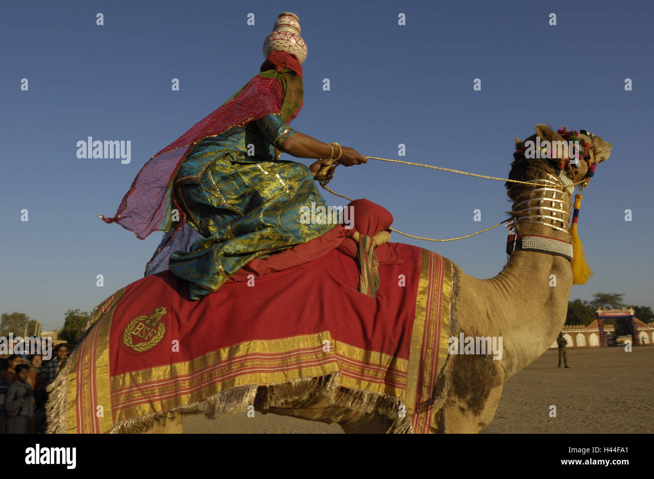 Camel show hi-res stock photography and images - Alamy