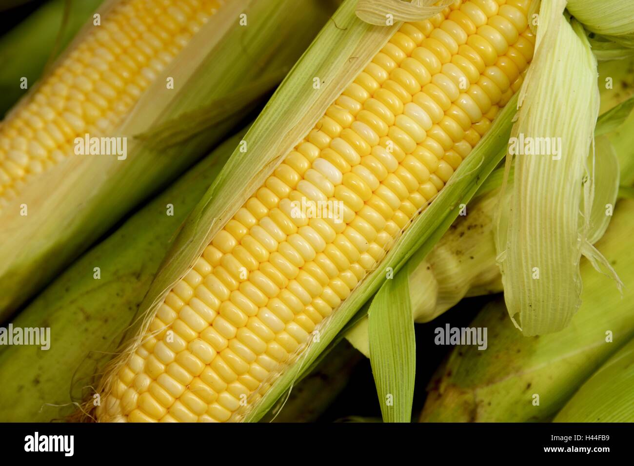 Maize corn hi-res stock photography and images - Alamy