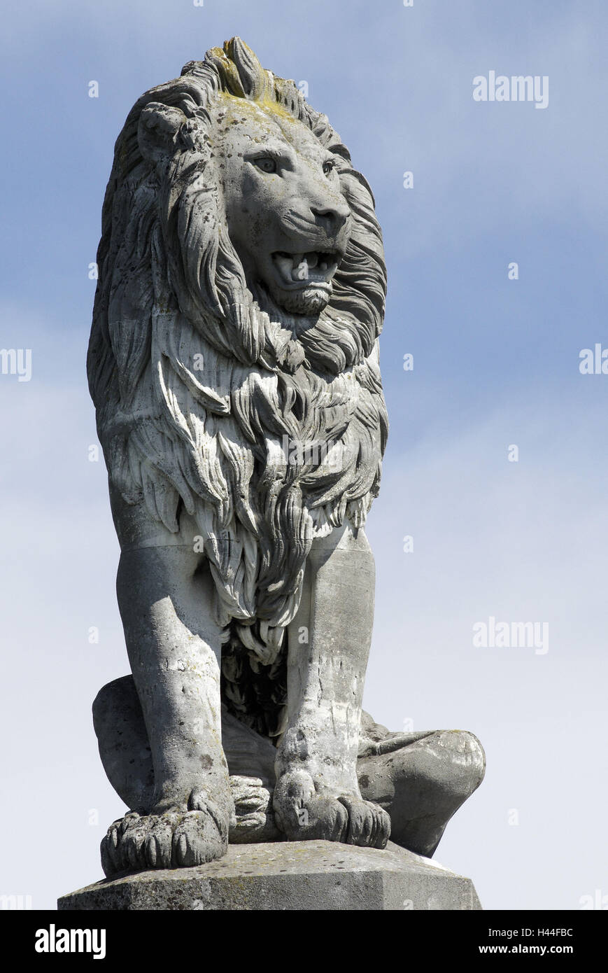 Socket with lion hi-res stock photography and images - Alamy