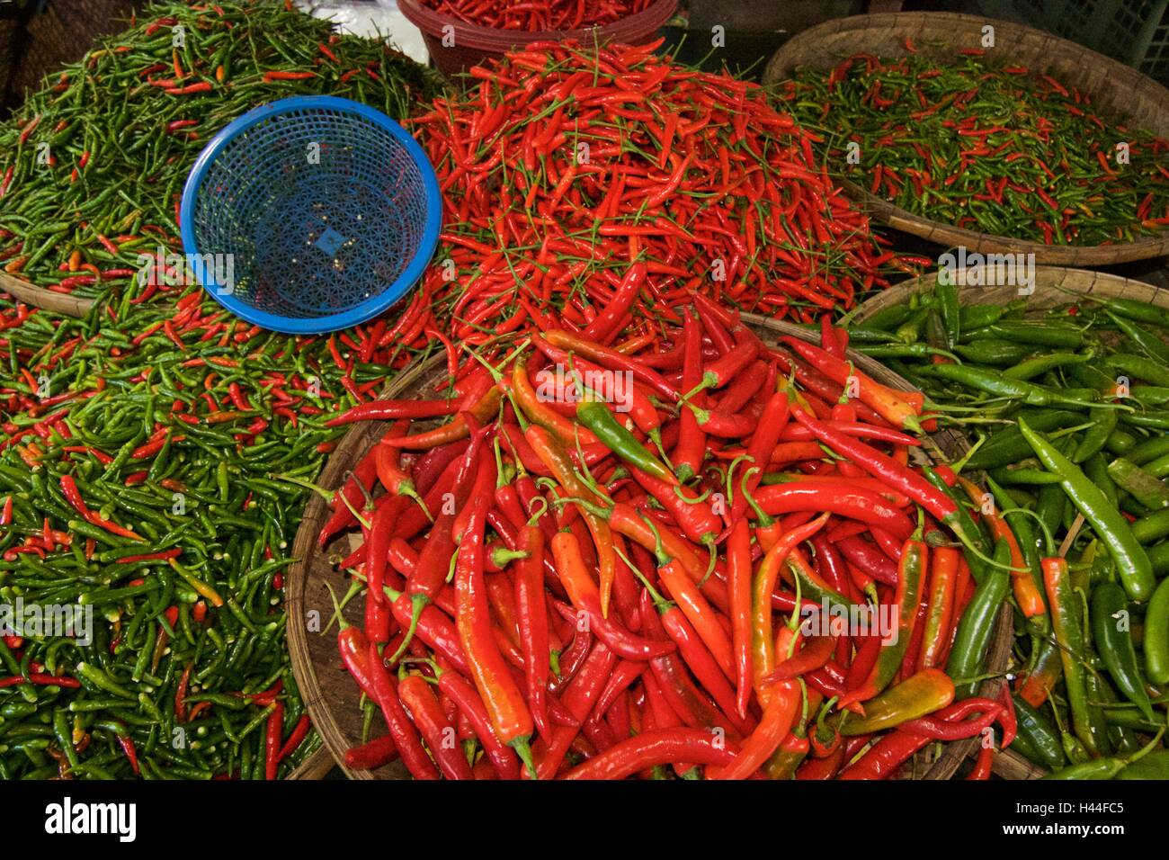 Birds eye chilli plant hi-res stock photography and images - Alamy