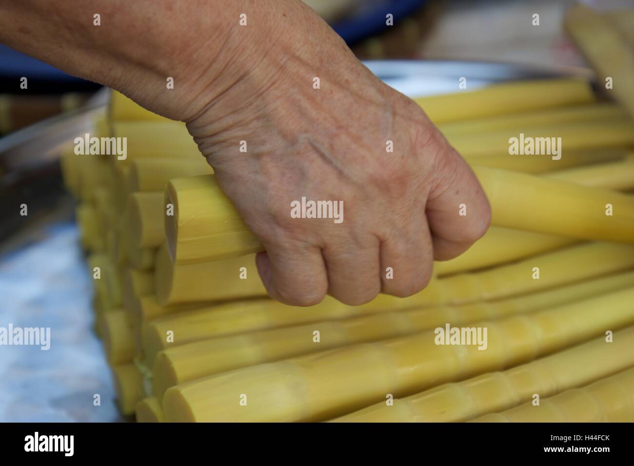 Peeled bamboo shoots on hand Stock Photo - Alamy