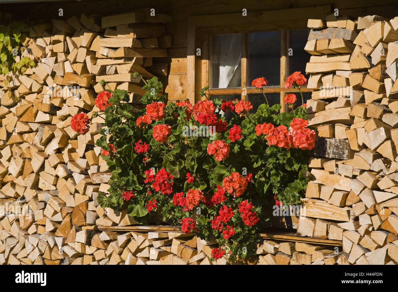 Germany, Upper Bavaria, wooden house, facade, window, floral decoration ...